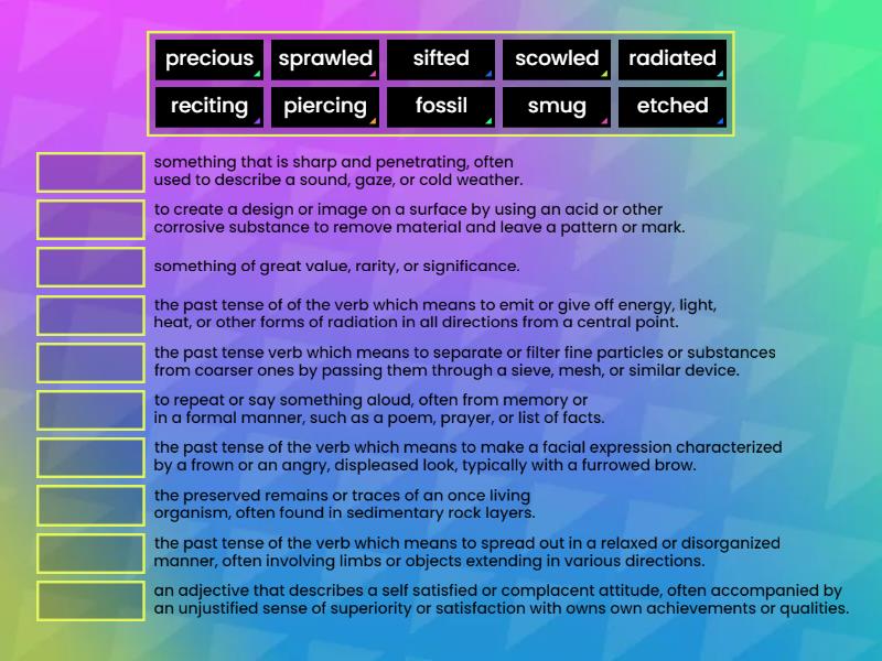 Holes Vocab - Match up
