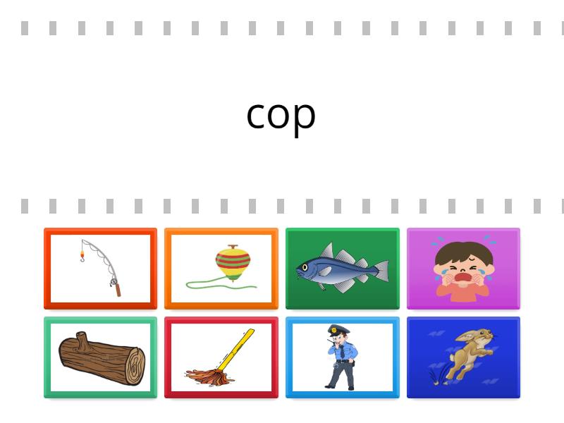 Read and Match: cvc- o Words - Find the match