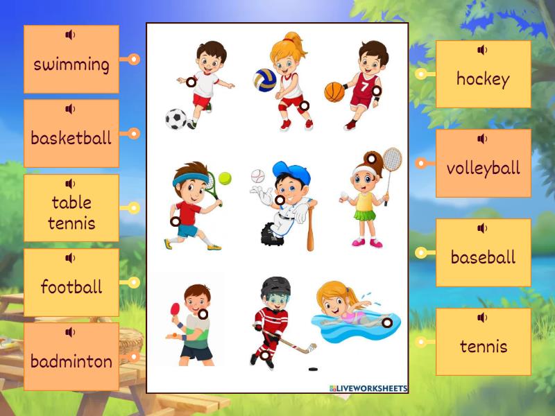 Kinds of sport. - Labelled diagram