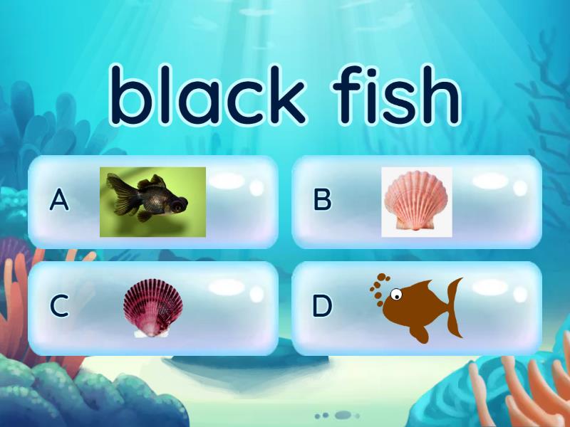 Wonderland Colours fish crab shell starfish - Quiz