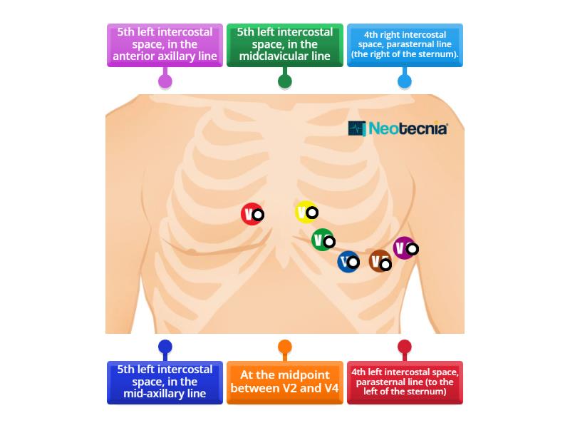 Electrocardiograma - Labelled diagram