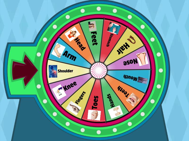 Parts of the Body - Spin the wheel