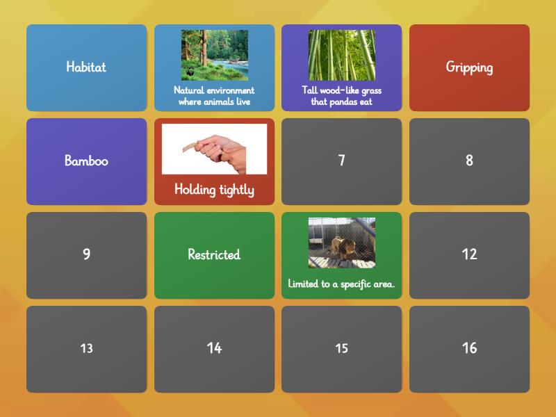 Giant Panda Vocabulary - Matching pairs