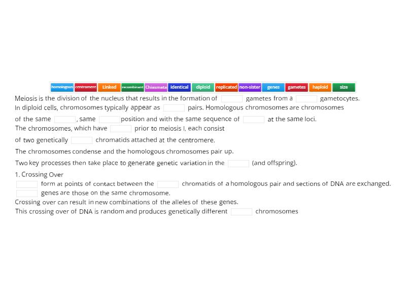 Braes AH Biology Unit 2.3(b) Homologous Chromosomes & Meiosis ...