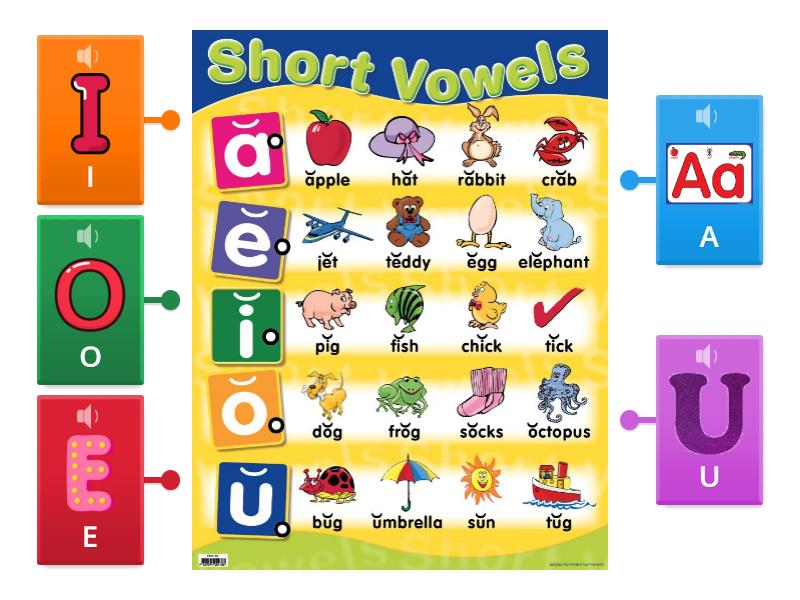 Vowels-- vocales - Diagrama con etiquetas
