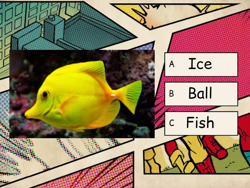 Identify the picture. - Quiz