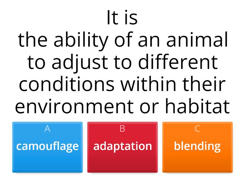 ANIMAL ADAPTATION - Quiz