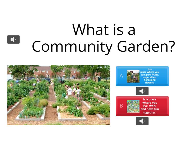 Research PBL Community Garden - Quiz