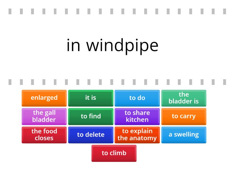 Lesson 3. New words - Find the match