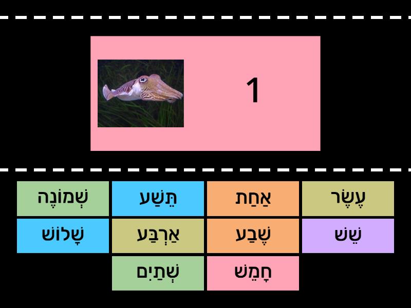 Hebrew Numbers 1-10 No Clues - Find the match