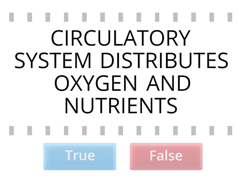 CIRCULATORY SYSTEM - True or false