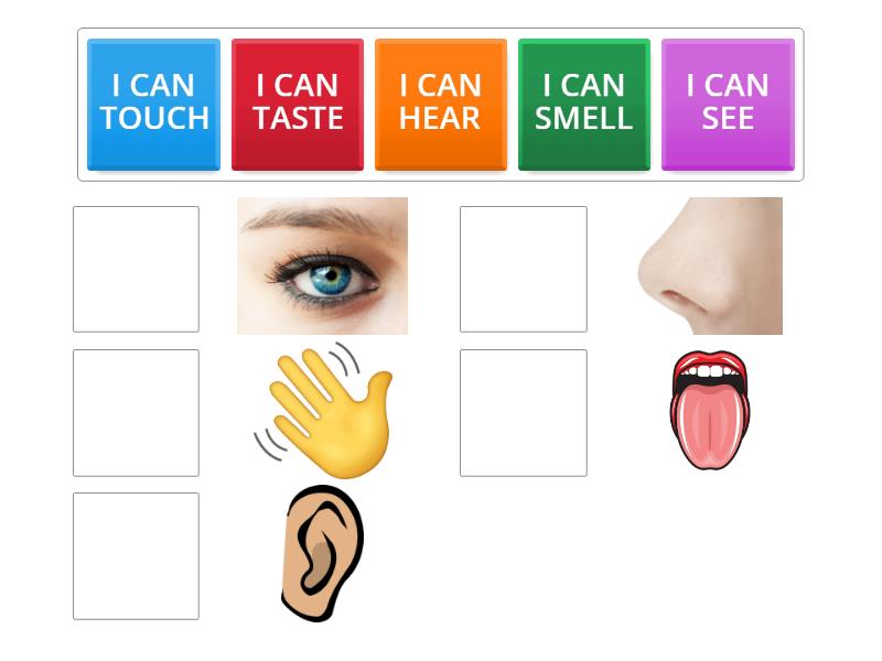 5 SENSES AND BODY PARTS - Match up