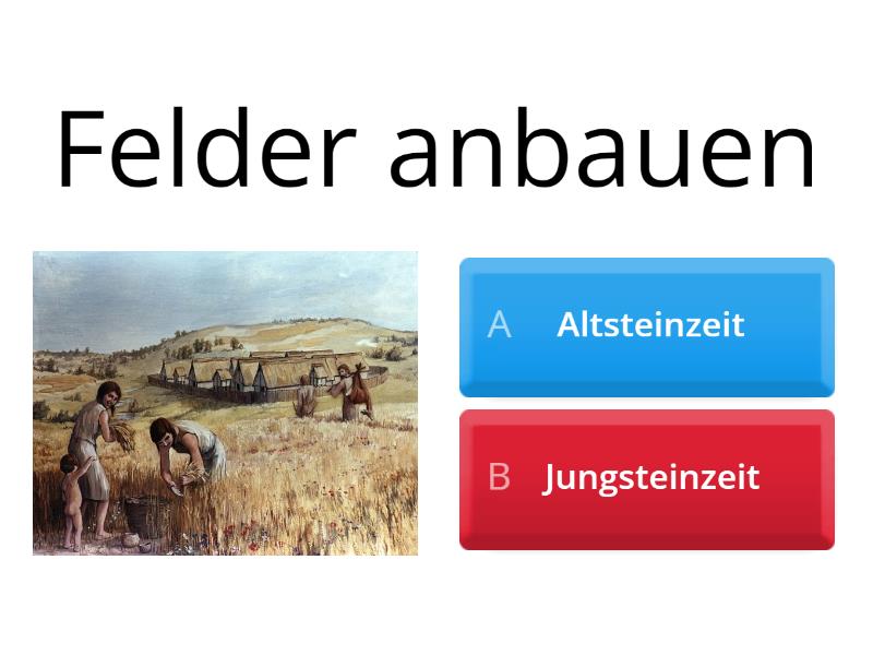 Altsteinzeit oder Jungsteinzeit - - Quiz
