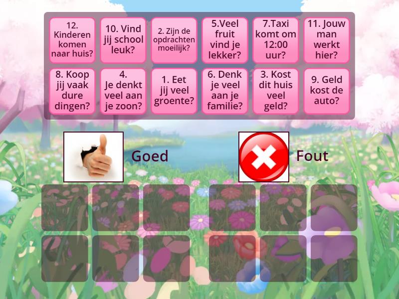vraagzinnen goed of fout - Group sort