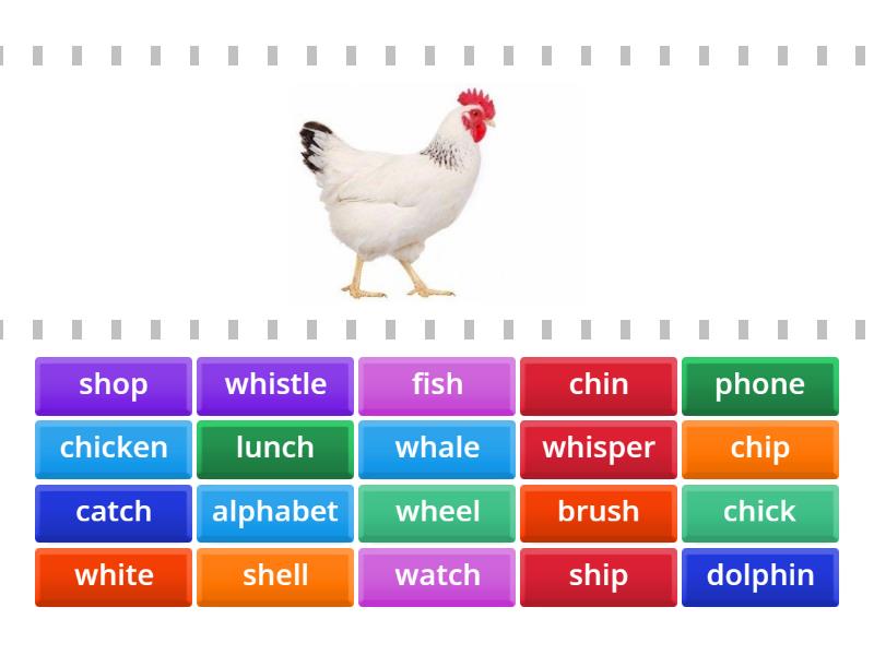 Digraphs ch, tch, ph, wh - Find the match