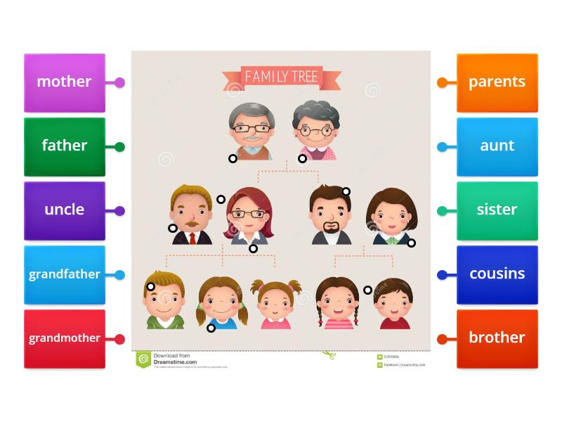 Family tree - Labelled diagram