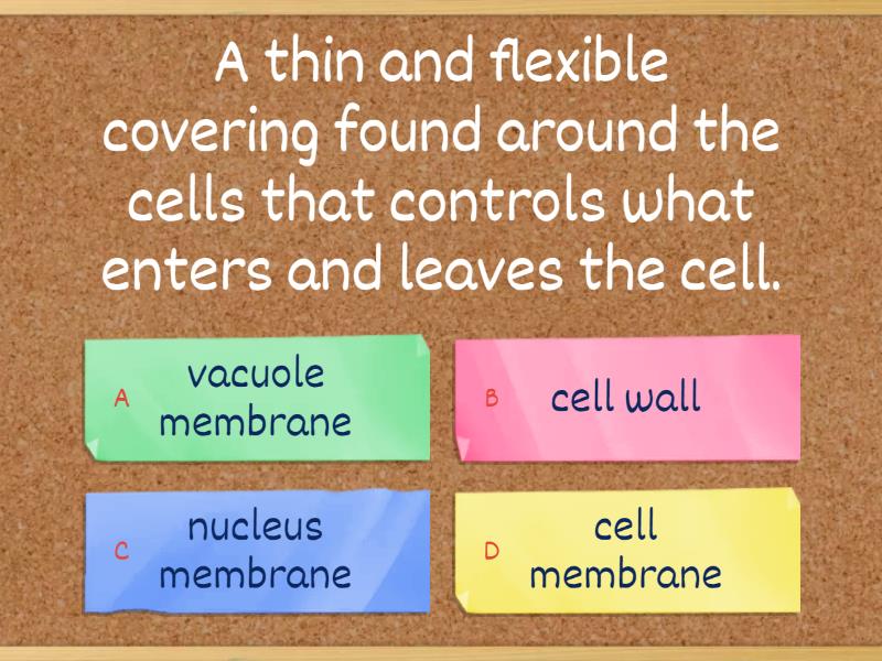 Parts of the Cell - Quiz
