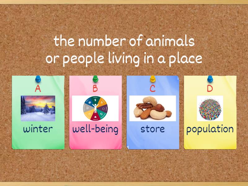 Wolf Island - Vocabulary - Quiz