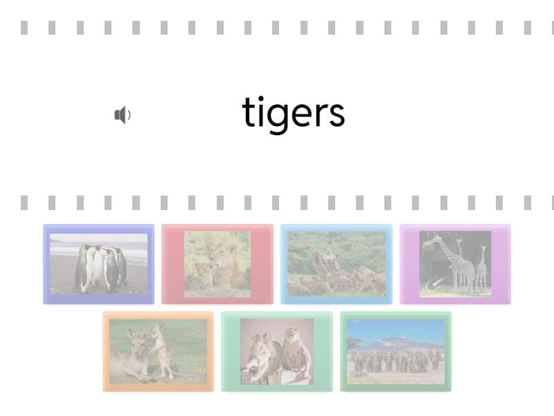 LS2 Unit 4 at the zoo (animals) - Cada oveja con su pareja