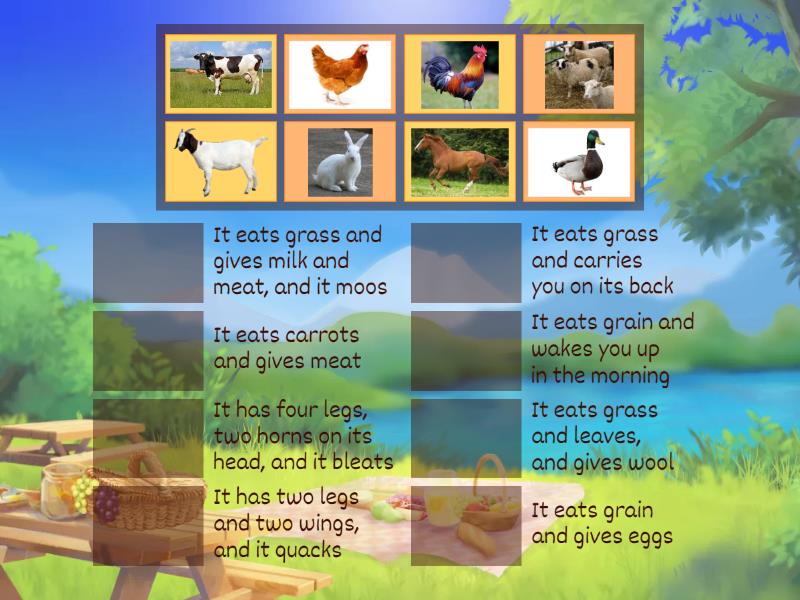 Describing Farm Animals - Match up