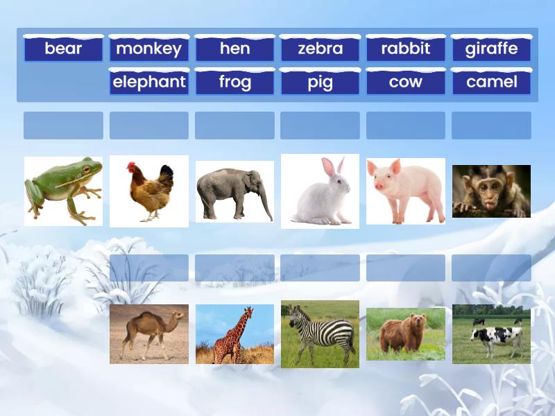 level 1-animals - Match up