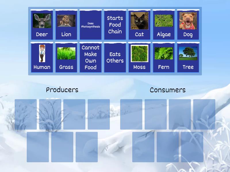 Producers vs. Consumers GR2 - CAS - Group sort