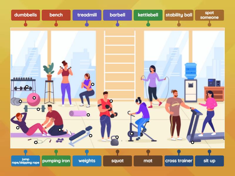 B1 - Gym Vocabulary. - Labelled diagram