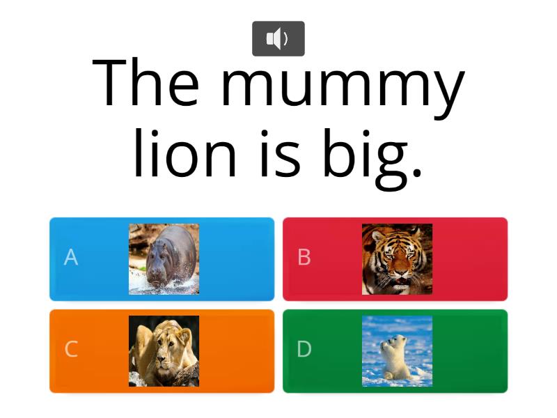 Big and Small - Quiz