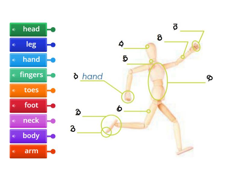 Go Getter 1 unit 4.2 vocabulary - Labelled diagram