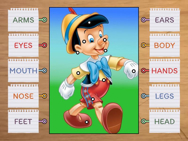 FIRST GRADE - PINOCCHIO'S BODY - Diagrama con etiquetas