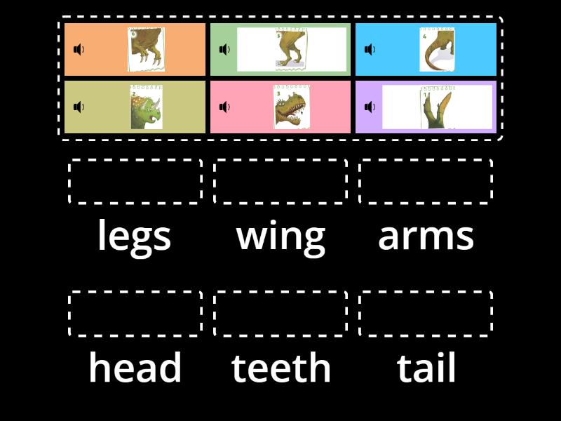Body parts - U5 - Match up