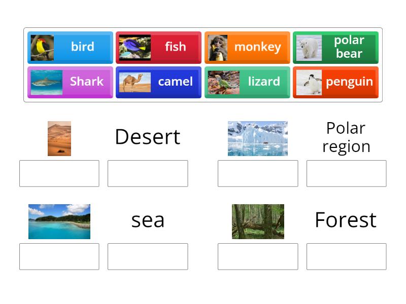 Habitats - Group sort