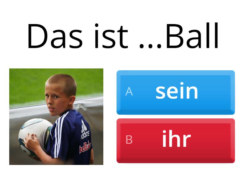 sein ihr - Cuestionario