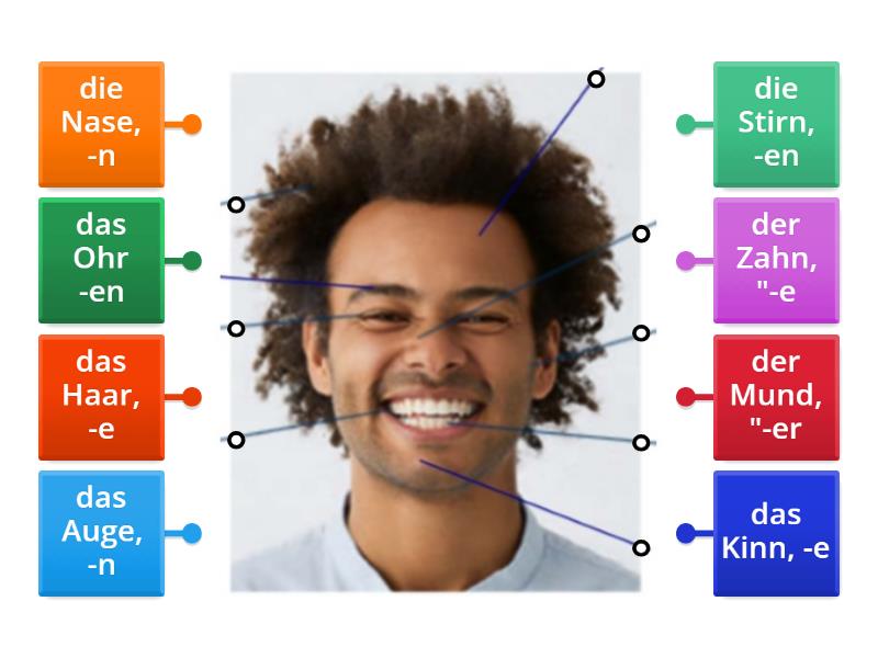 A1 K8 das Gesicht - Labelled diagram
