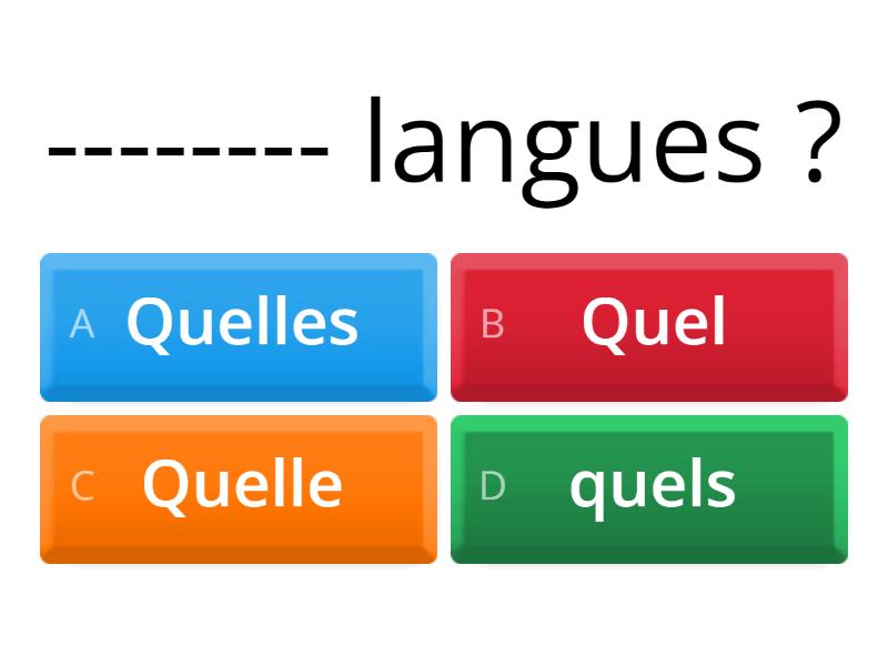 QUEL QUELS QUELLE QUELLES - Questionário