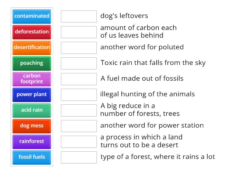 ecology vocabulary - Match up