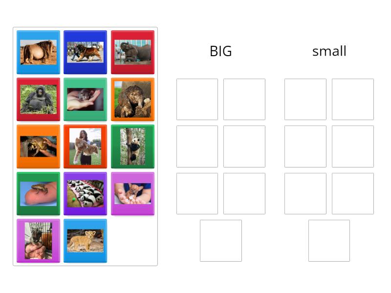 WOW3 U3 Concept practice - Group sort