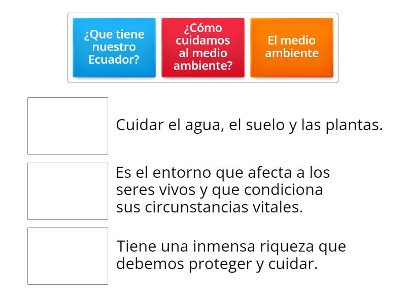 El medio ambiente - Match up