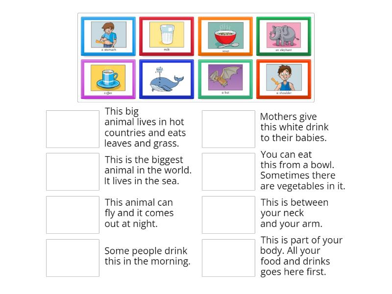 Movers - Reading Part 1 - Match up