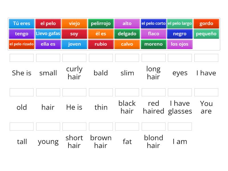 Describing people Spanish Y9 - Match up