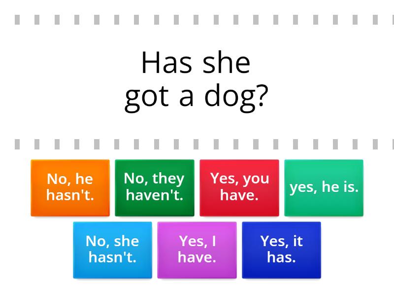 have/has got questions and short answers - Find the match