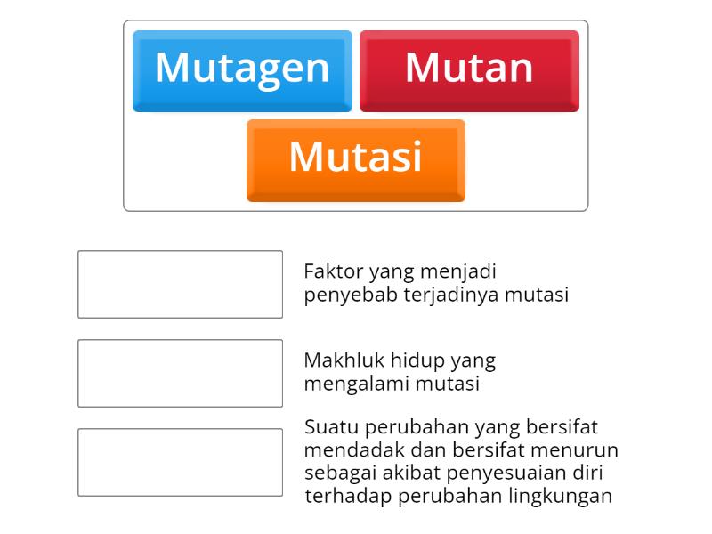 Mutasi dan Jenis-jenis Mutasi - Match up