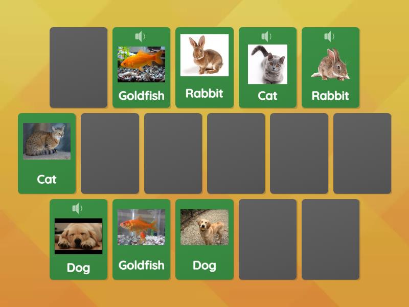 Pets practice 1 - Matching pairs