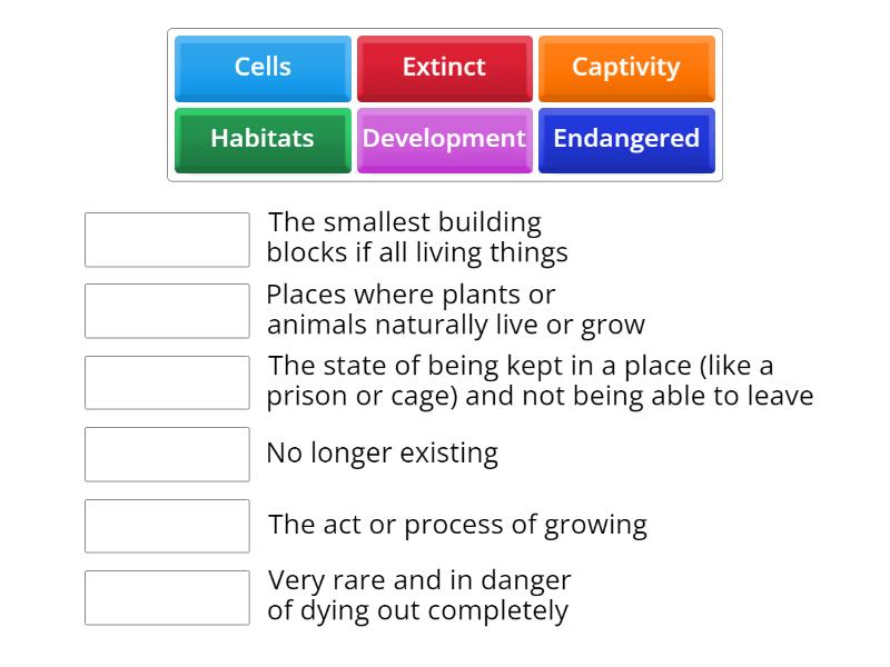 Action Mag: Should We Bring Back the Wooly Mammoth? - Match up