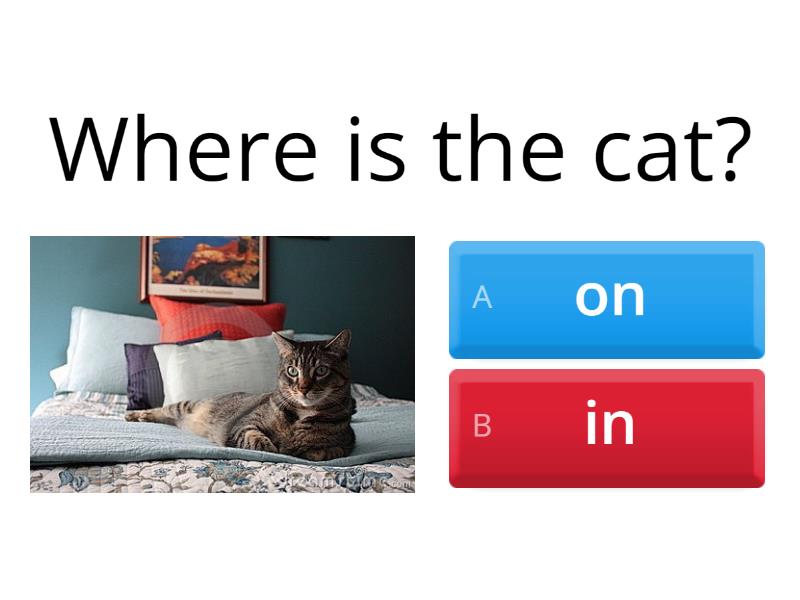 Simple preposition of place - - Quiz