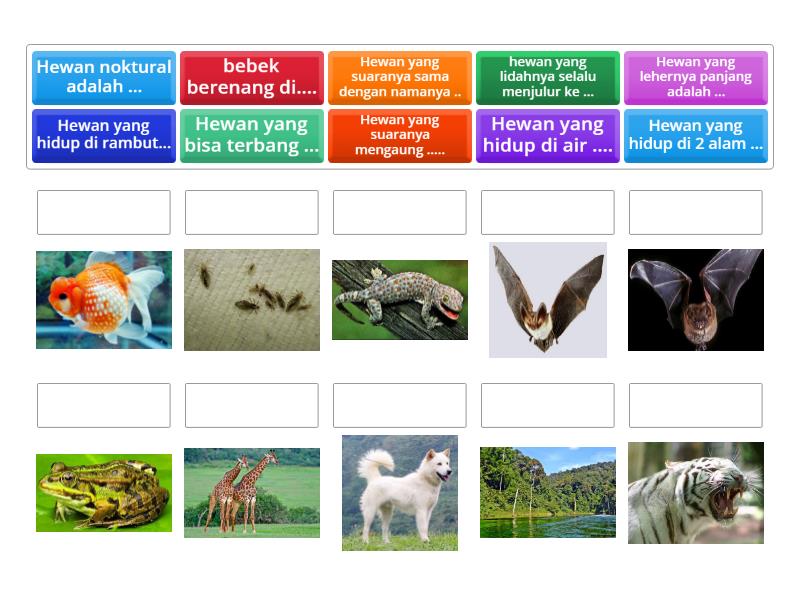 Jenis - Jenis Hewan - Match up
