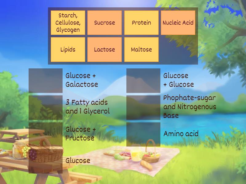 Matching Type-Polymers-Monomers - Match up