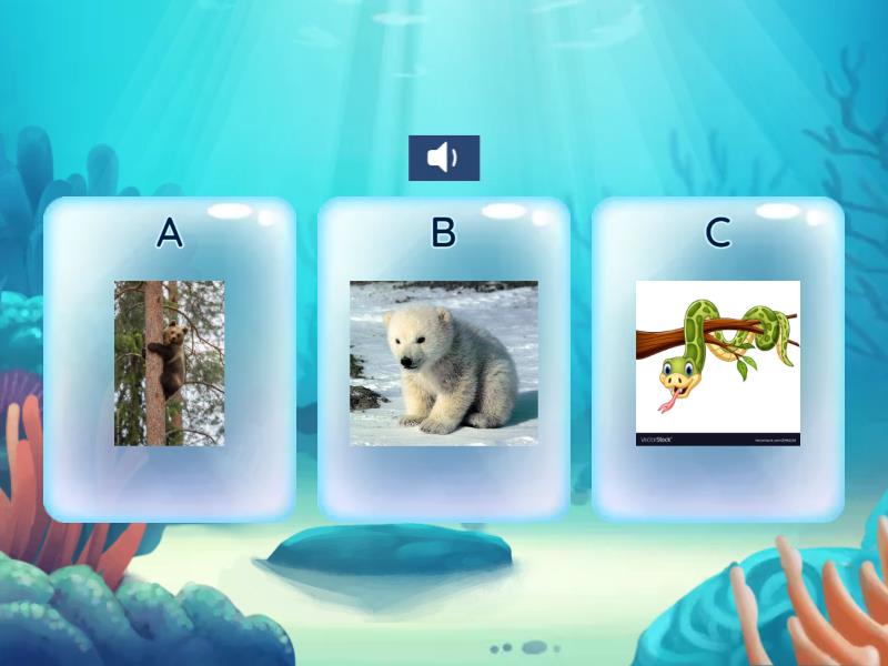 Listen and choose 3/11 - Quiz