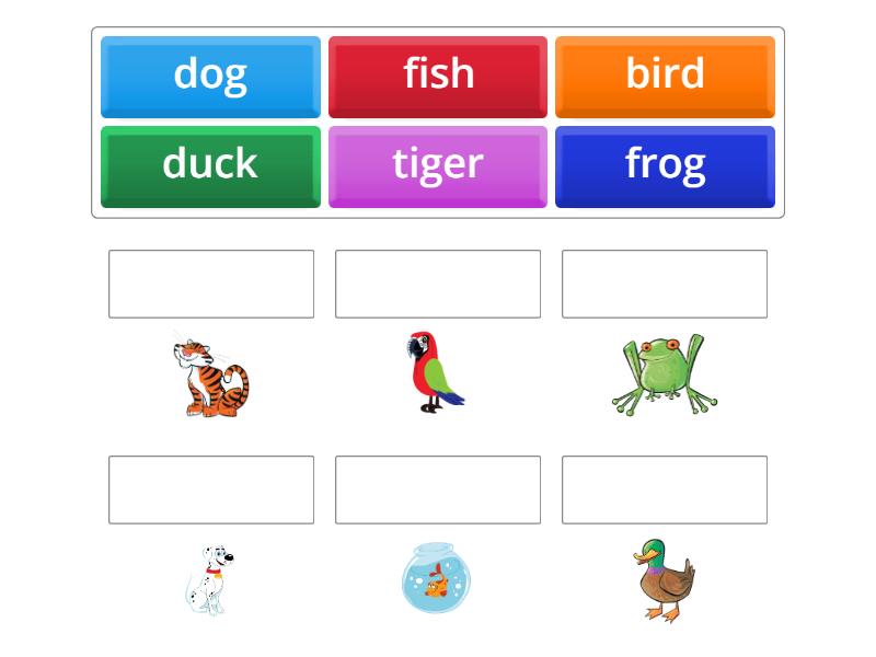 kids box starter unit 7 - Match up