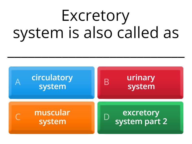 Excretory System - Quiz